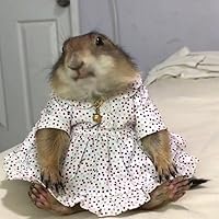 The Only Good Indians by Stephen Graham Jones | Goodreads