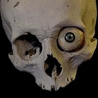 Return to Ghost Camp (Goosebumps Series 2000, #19) by R.L. Stine ...