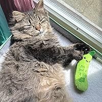 The Five Year Lie by Sarina Bowen | Goodreads