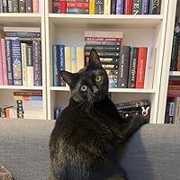 Crown of Earth and Sky by Emberly Ash | Goodreads