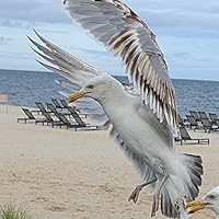 Nugly by M.C. Ross | Goodreads