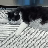 Bounce Back (Bounce Back, #1) by Misako Rocks! | Goodreads