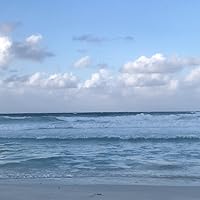 Rally (Treasure State Wildcats, #3) by Devney Perry | Goodreads