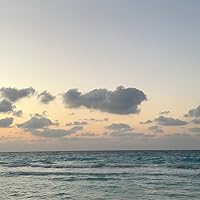 Alpha Inmate by Liliana Carlisle | Goodreads