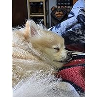 Annabelle by Ruby Jean Jensen | Goodreads