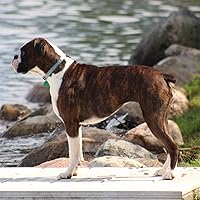 Grave Sins (Cin Craven, #2) by Jenna Maclaine | Goodreads