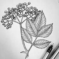 The Rowan (The Tower and the Hive, #1) by Anne McCaffrey | Goodreads