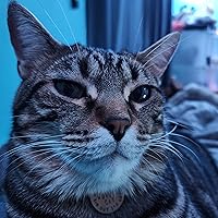 The Tri-State Tornado: The Story of America's Greatest Tornado Disaster ...