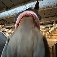 Prince Puggly of Spud and the Kingdom of Spiff by Robert Paul Weston ...