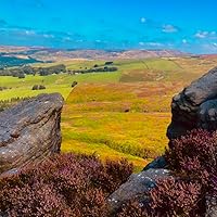 The Understudy by David Nicholls | Goodreads