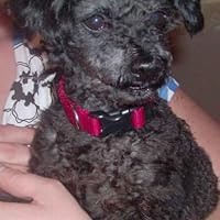 Stuffing Her Stocking by Shaw Hart | Goodreads