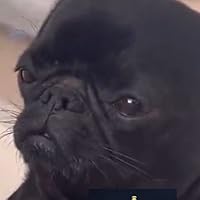 Pericles of Athens and the Birth of Democracy by Donald Kagan | Goodreads