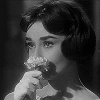 Coyote Lost and Found (Coyote Sunrise #2) by Dan Gemeinhart | Goodreads