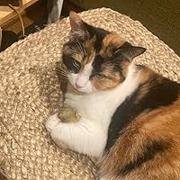 Half Empty by David Rakoff | Goodreads