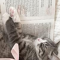 Dreadful (Tattered Curtain #3) by Greer Rivers | Goodreads