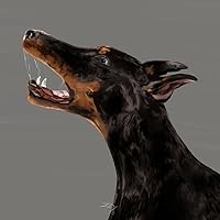 AMYGDALA by Sam Fennah | Goodreads