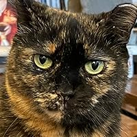 Kaffir Boy: An Autobiography by Mark Mathabane | Goodreads