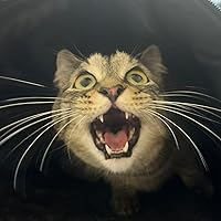 Wild Pork and Watercress by Barry Crump | Goodreads