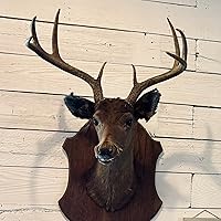 Blue Rage, Black Redemption: A Memoir by Stanley Tookie Williams ...