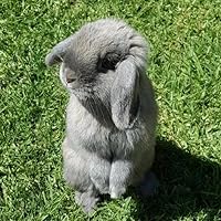 Deceptive Calm by Patricia Skipper | Goodreads