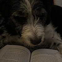 Crypt: Life, Death and Disease in the Middle Ages and Beyond by Alice ...