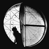 Thunder Rising (Warriors: Dawn of the Clans, #2) by Erin Hunter | Goodreads