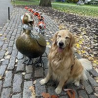 Millicent Min, Girl Genius (The Millicent Min Trilogy #1) by Lisa Yee ...