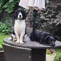 Riambel by Priya Hein | Goodreads