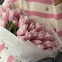 The Runaway Dolls (Doll People, #3) by Ann M. Martin | Goodreads