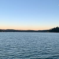 Strays Like Us by Cecilia Galante | Goodreads