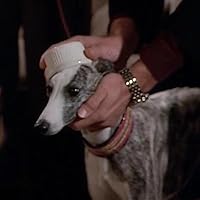 Eight Ghosts: The English Heritage Book of New Ghost Stories by Rowan ...