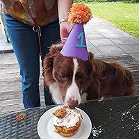 I Know You Did It by Sue Wallman | Goodreads