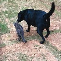 Clete (Dave Robicheaux, #24) by James Lee Burke | Goodreads