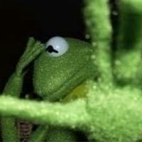 Every Line of You by Naomi Gibson | Goodreads