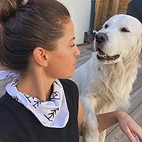 The New Bloomsday Book: A Guide Through Ulysses by Harry Blamires ...