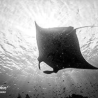 Pro Bono by Thomas Perry | Goodreads