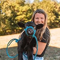 The Shooter's Sister (Raven Ledger Duet, #1) by Paige Dearth | Goodreads