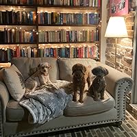 Remarkably Ruby (Emmie & Friends #6) by Terri Libenson | Goodreads