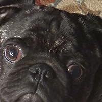 The Photo Ark: One Man's Quest to Document the World's Animals by Joel ...