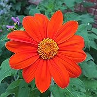 8 Minute Meditation: Quiet Your Mind. Change Your Life by Victor Davich ...