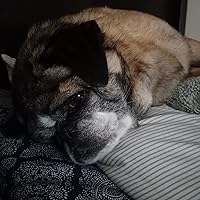 Under the Cover of Murder by Lauren Elliott | Goodreads