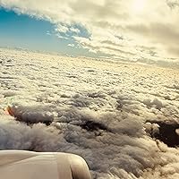 Inked Adonis (Litvinov Bratva Book 1) by Nicole Fox | Goodreads