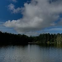 Good Girls Die First by Kathryn Foxfield | Goodreads