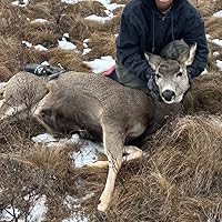 AMYGDALA by Sam Fennah | Goodreads