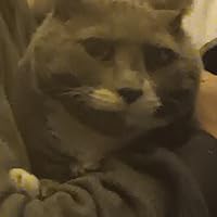 Killer Harvest by Christopher Krovatin | Goodreads