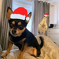 Bloods: Black Veterans of the Vietnam War: An Oral History by Wallace ...