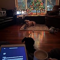 Inkling by Kenneth Oppel | Goodreads