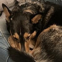 Hey Warrior: A Book for Kids About Anxiety by Karen Young | Goodreads