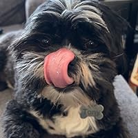 School: The Story of American Public Education by Sarah Mondale | Goodreads