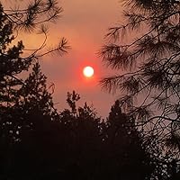 Ruby Holler by Sharon Creech | Goodreads